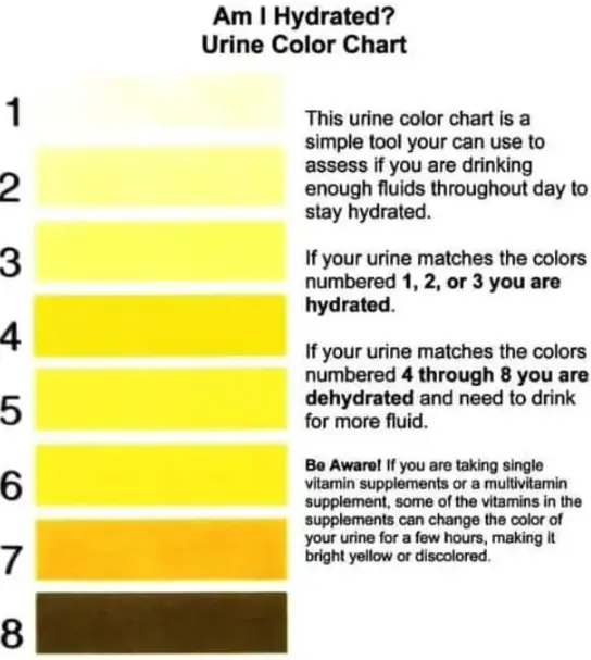 What Does The Color Of Your Urine Say About Your Health